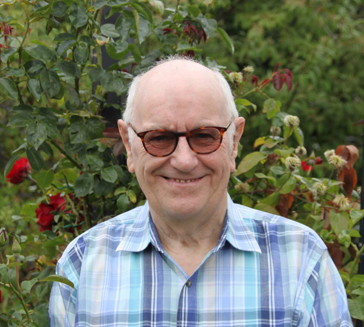 Model Register Captains - The Mercedes-Benz Club